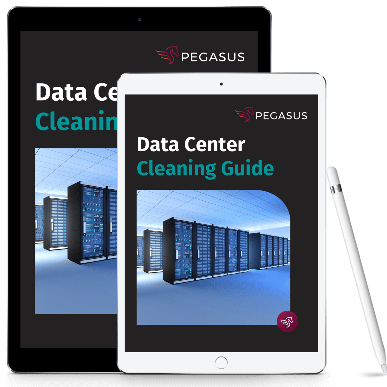 Data Center Cleaning Services for Critical Environments | Pegasus